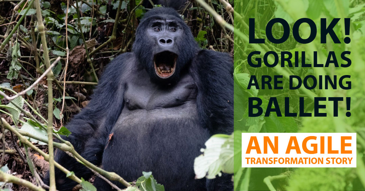 An Agile Transformation Story | Gorillas are Doing Ballet! - 321Gang LLC