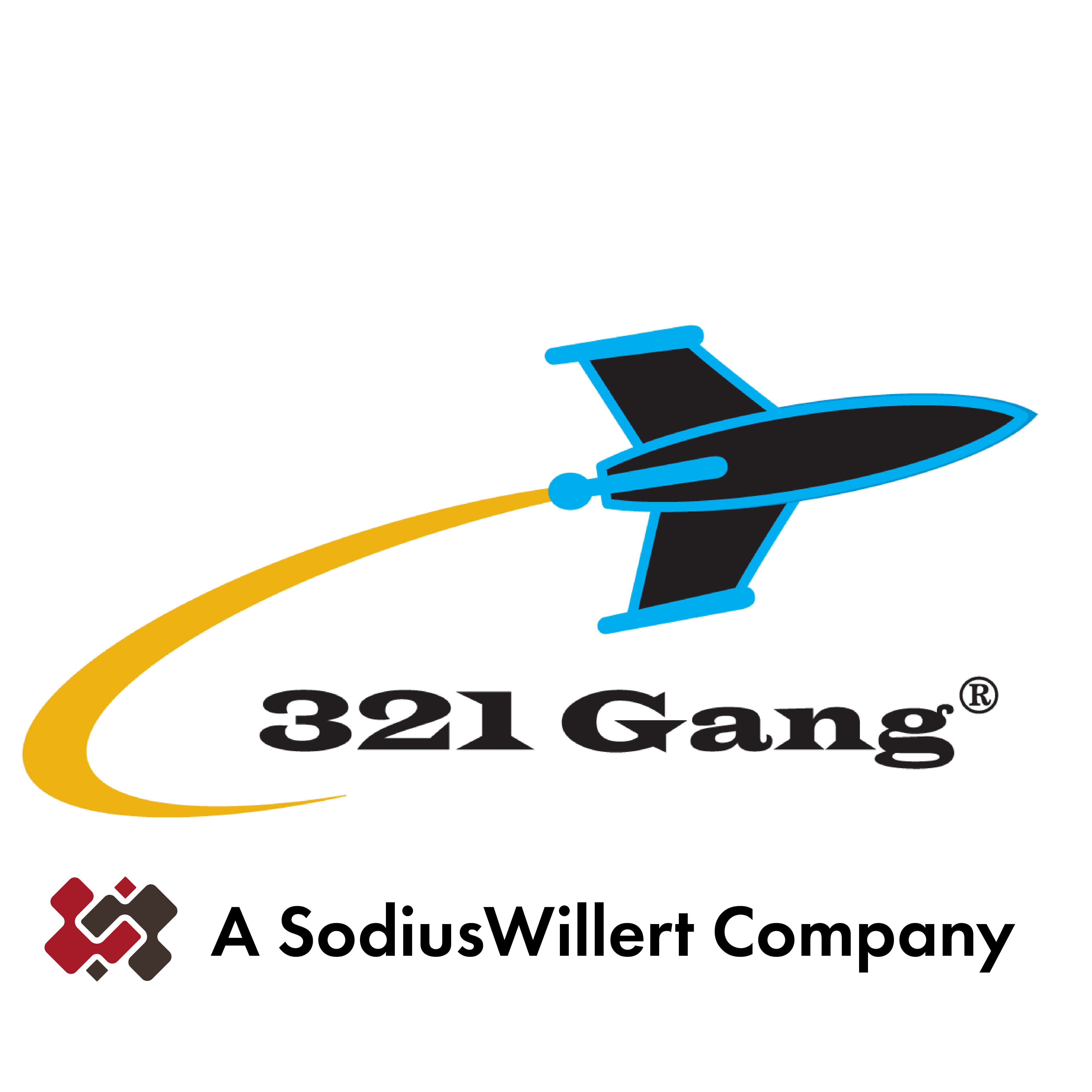 321Gang - Consulting, training & software solutions